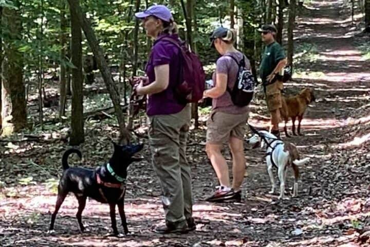 Featured FOHA Program - Tails to Trails - Friends of Homeless Animals