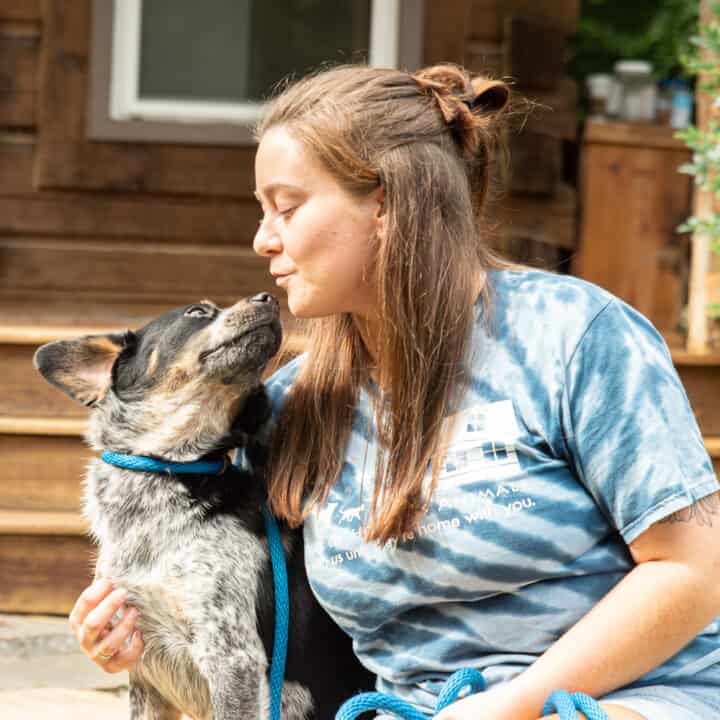 Ways to Help | Make a Difference for Shelter Animals in Need