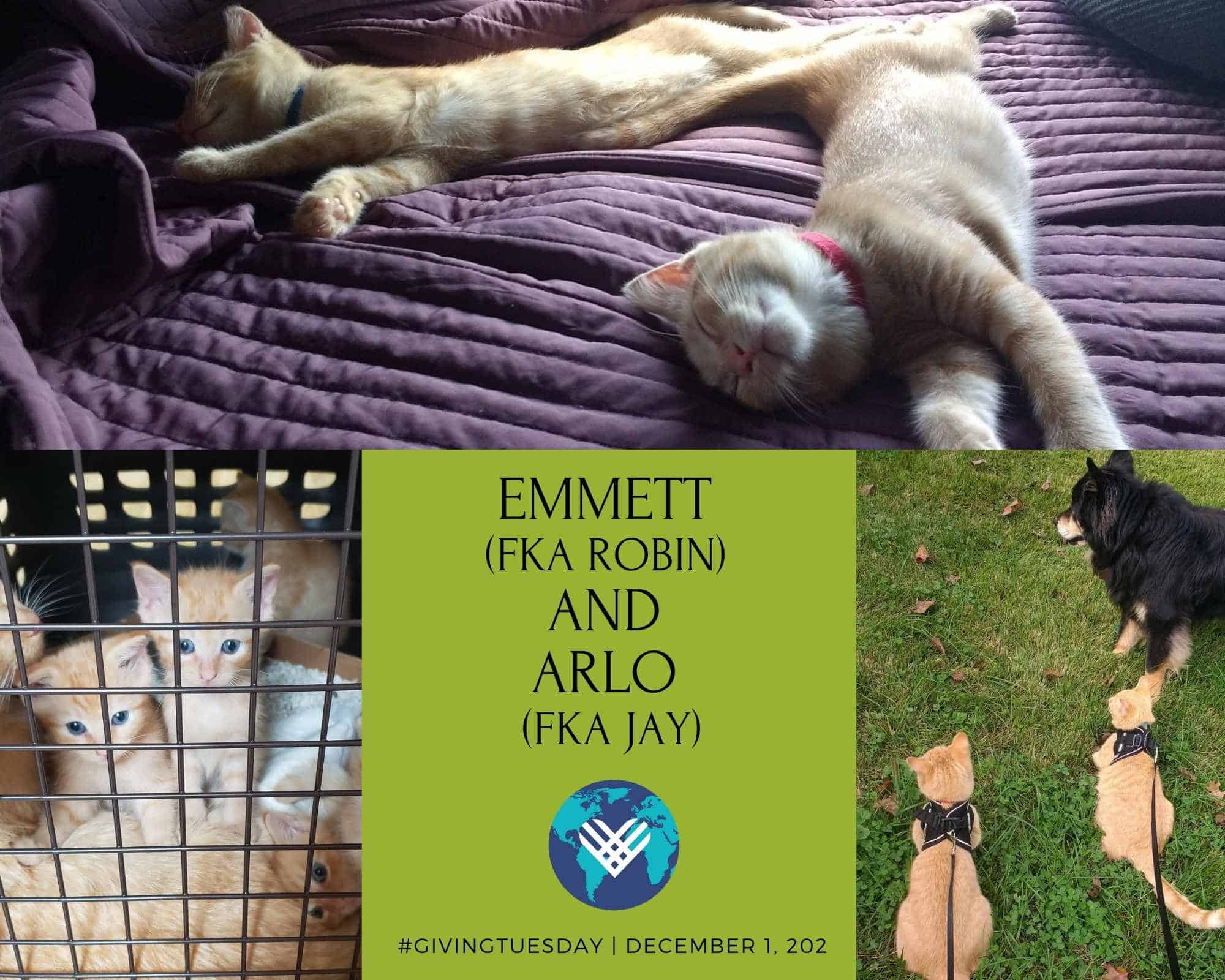 Emmett (FKA Robin) and Arlo (FKA Jay)