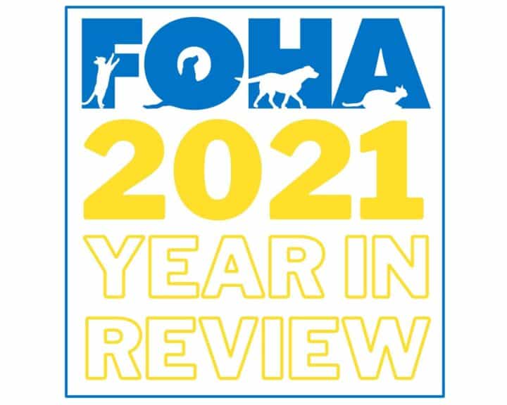 FOHA Blog - Friends of Homeless Animals