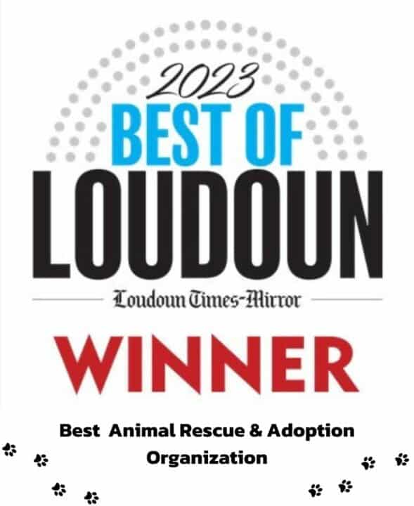 Friends of Homeless Animals Virginia | Saving Lives Since 1973