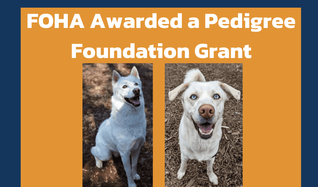 FOHA Awarded a Pedigree Foundation Grant - Friends of Homeless Animals
