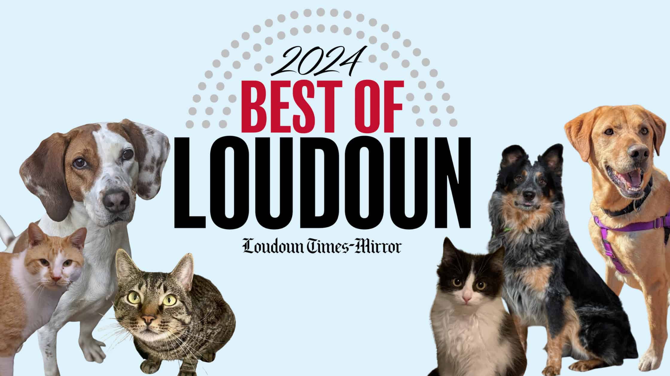 FOHA Named Best of Loudoun Animal Rescue and Adoption Organization for ...