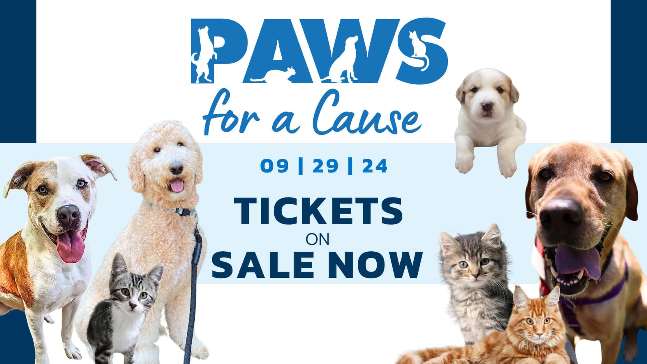 Paws for a Cause - Friends of Homeless Animals