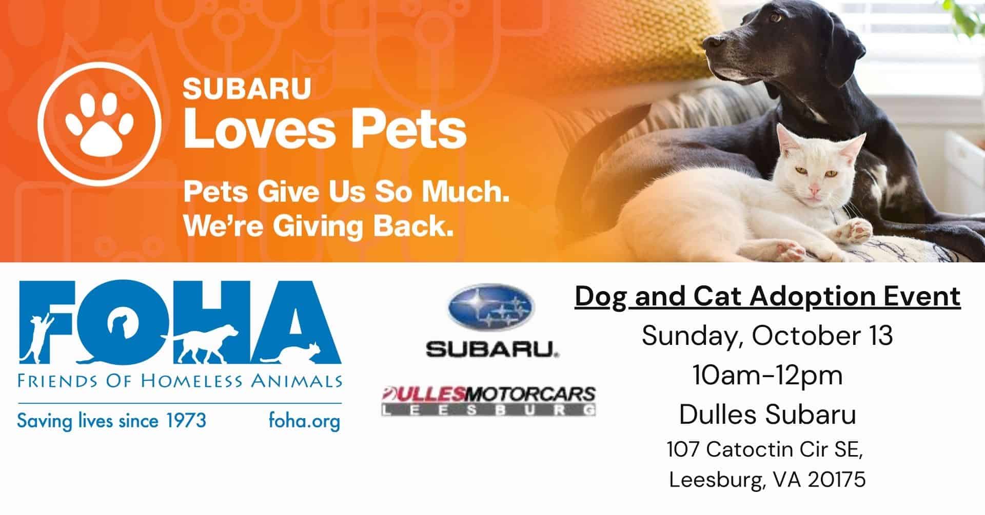 Local Partnership Helps Connect Adoptable Dogs and Cats with Forever ...