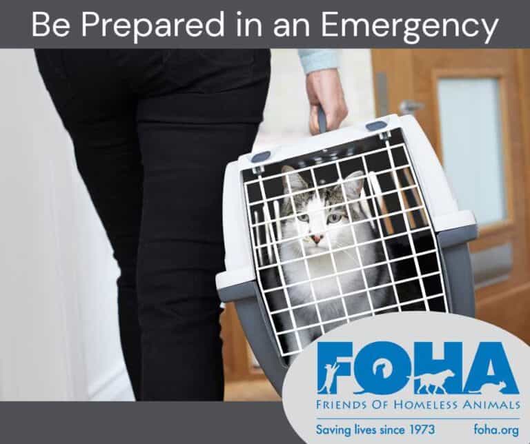 Disaster Preparedness for Pet Owners - Friends of Homeless Animals