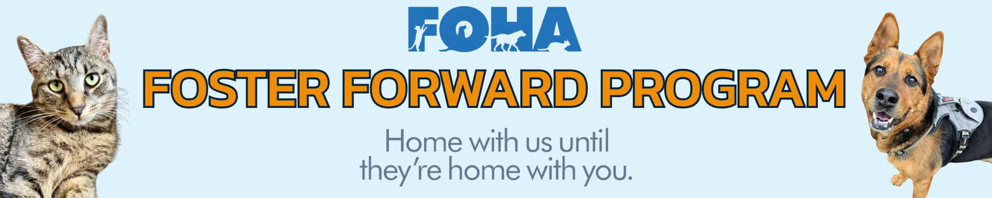 Foster Forward Incentive Program | Aldie Animal Shelter