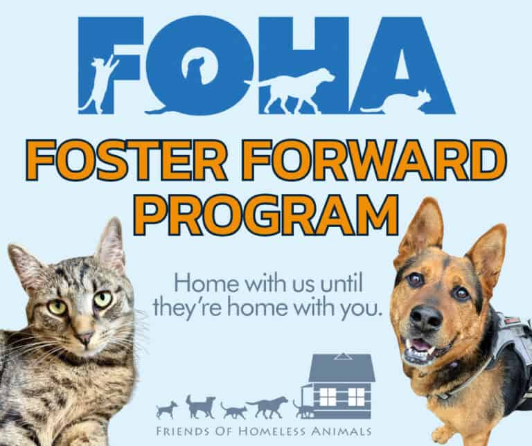 Dog and Cat Adoption - Friends of Homeless Animals