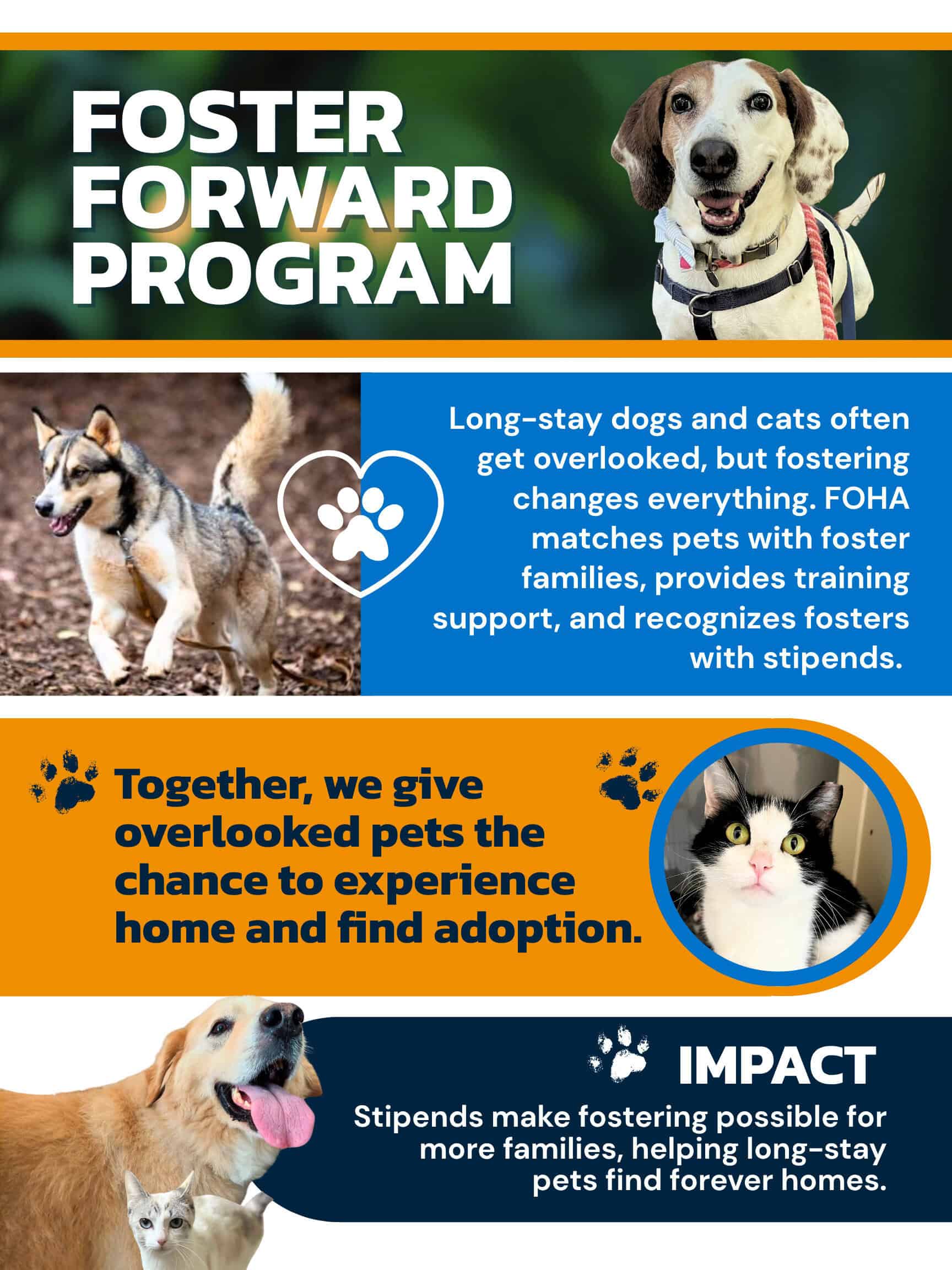FOHA Announces Its Paid Foster Program